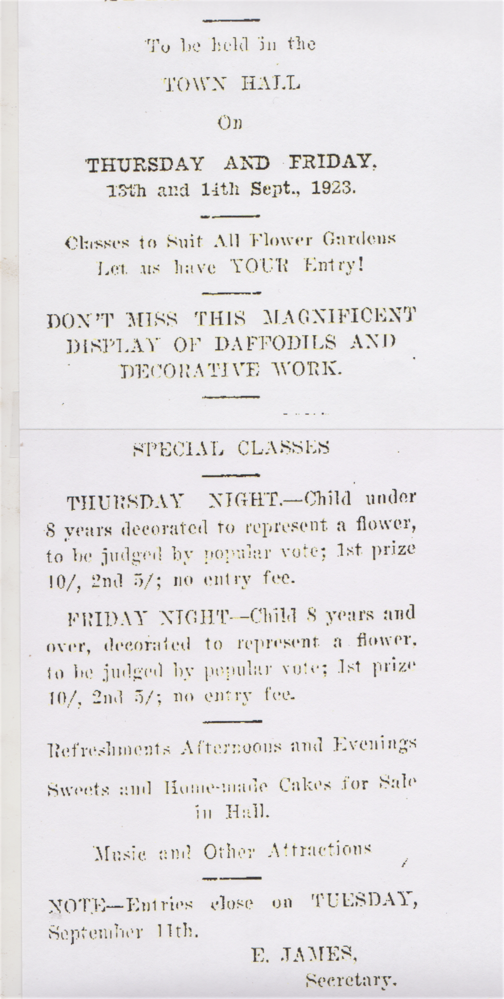 The Cambridge Daffodil Show - Cambridge Museum