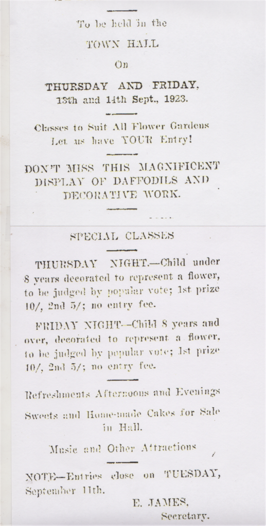 The Cambridge Daffodil Show - Cambridge Museum