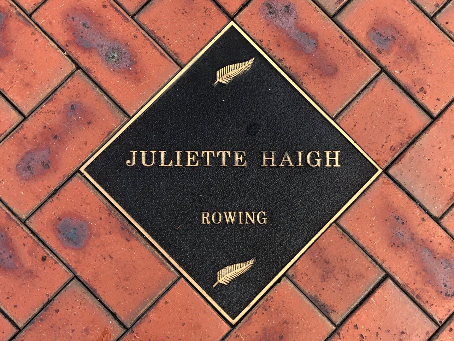 Juliette Haigh - Cambridge Museum