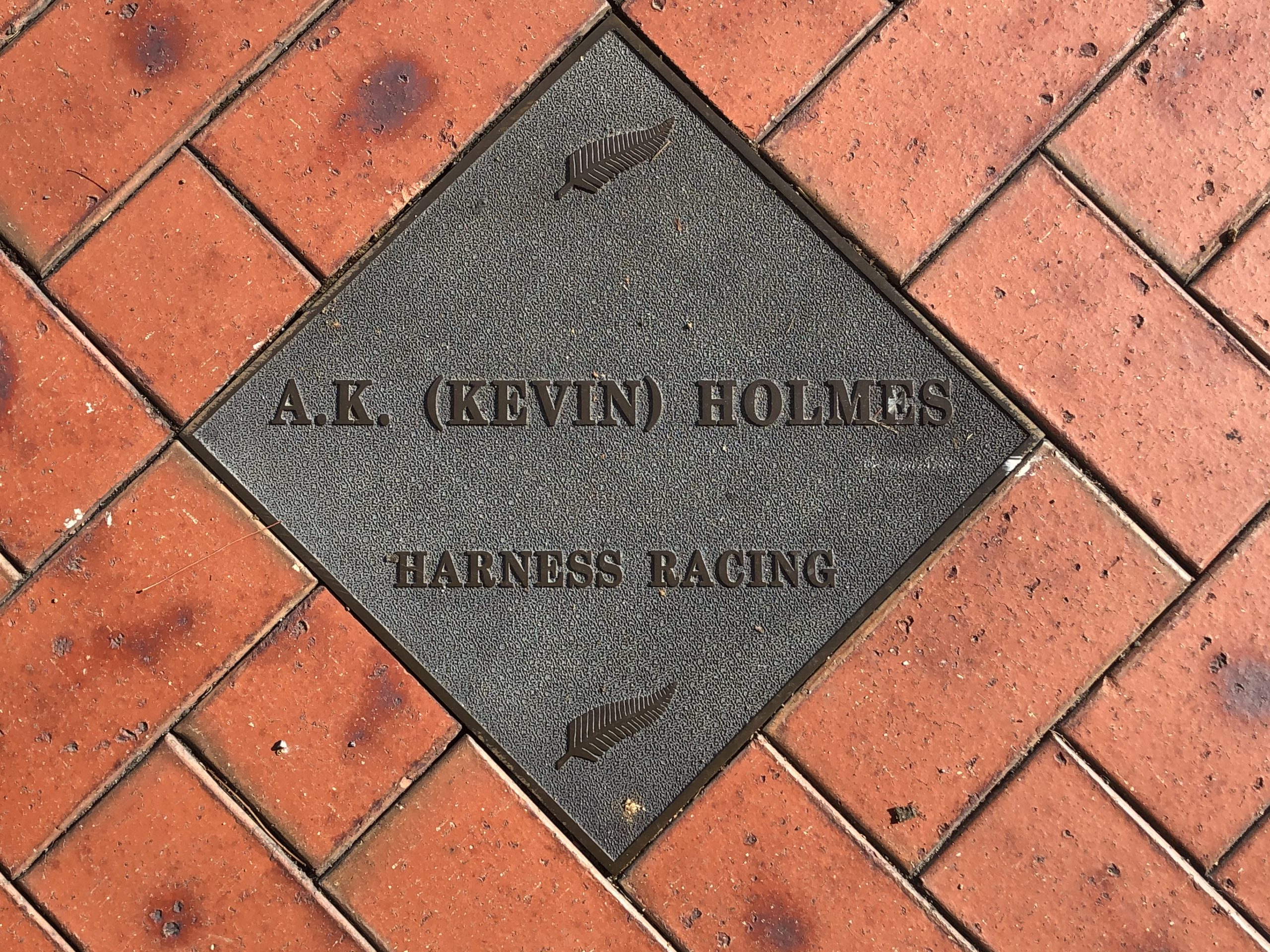 A K (Kevin) Holmes - Cambridge Museum