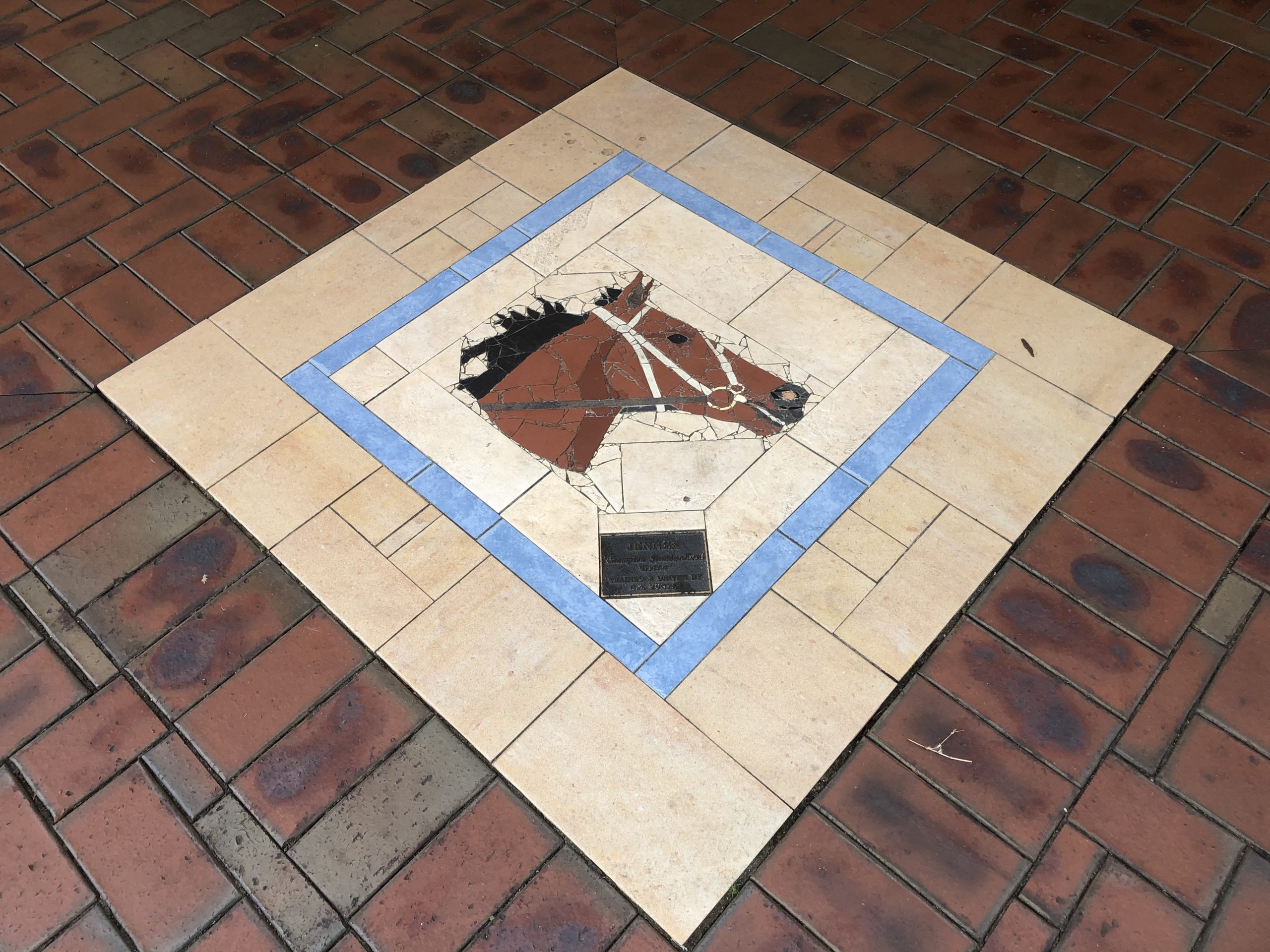 Jenner - Cambridge Museum