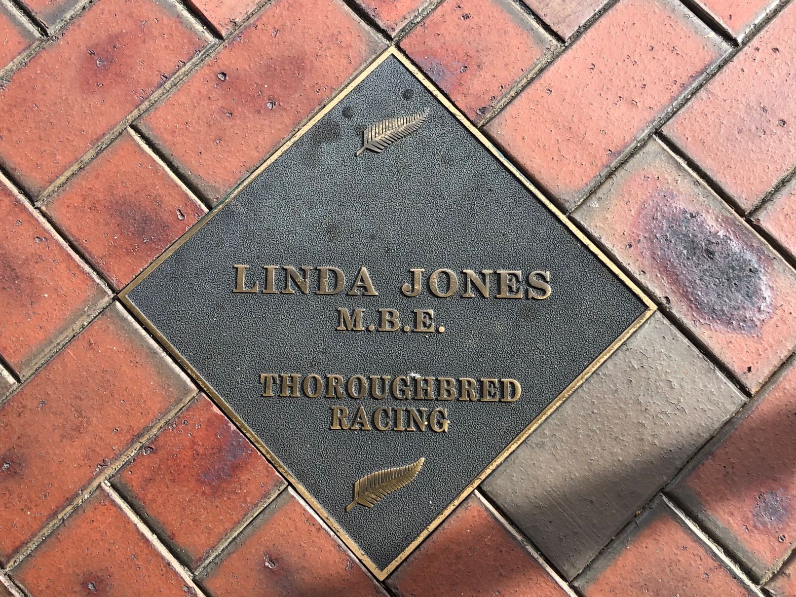 Linda Jones MBE - Cambridge Museum