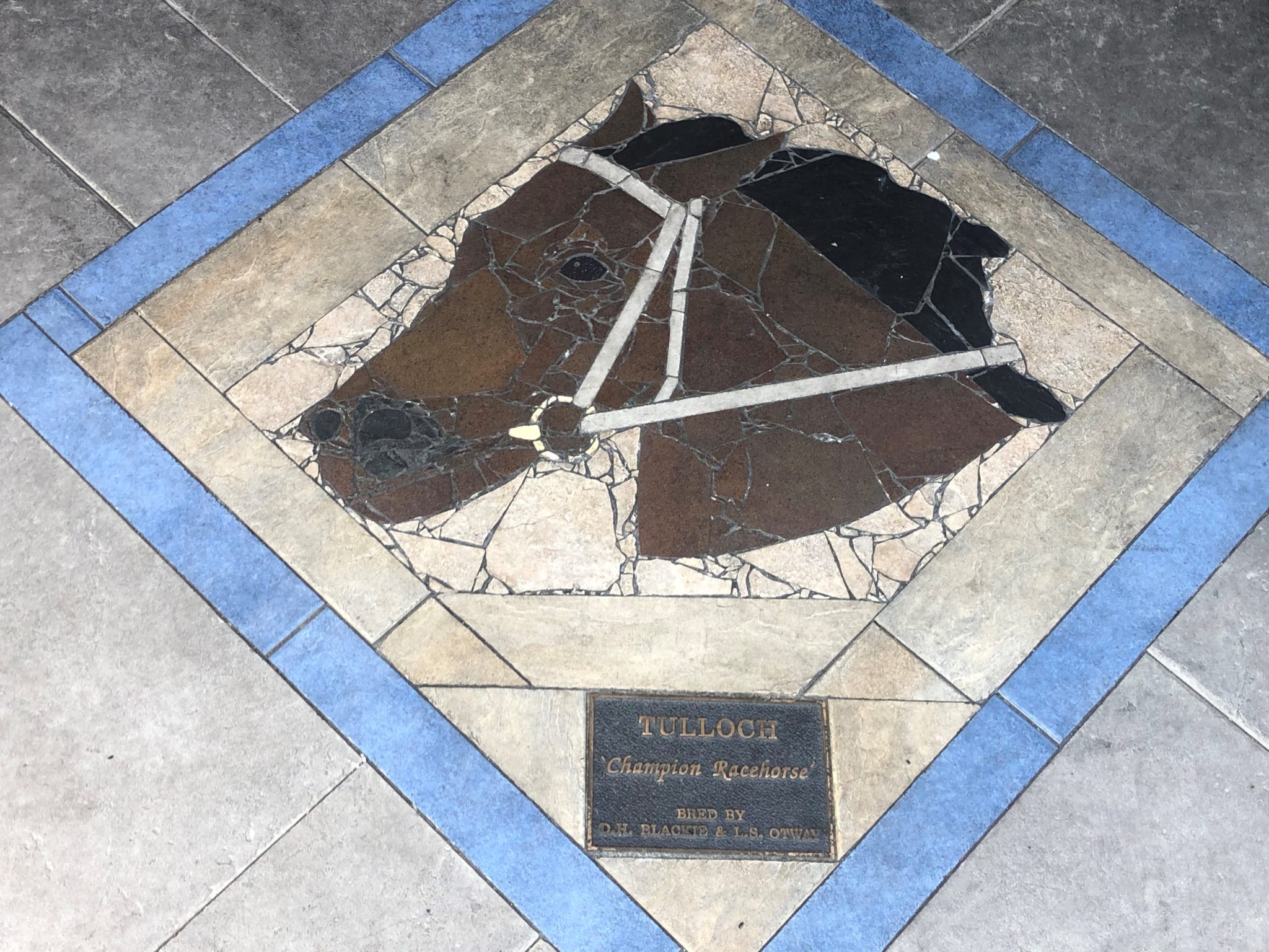 Tulloch - Cambridge Museum