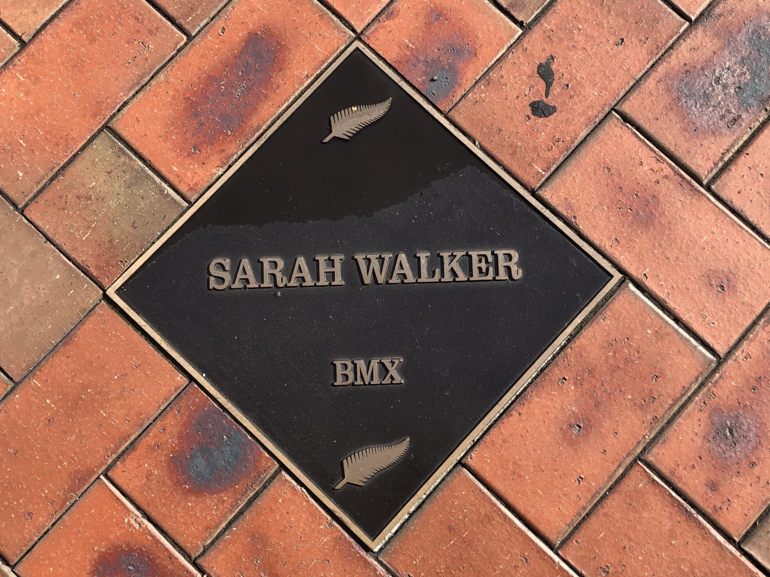 Sarah Walker - Cambridge Museum