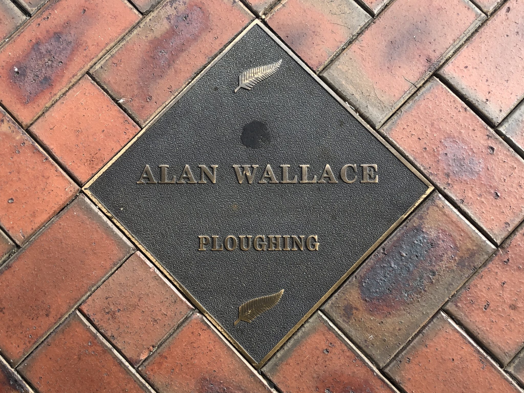 Alan Wallace - Cambridge Museum